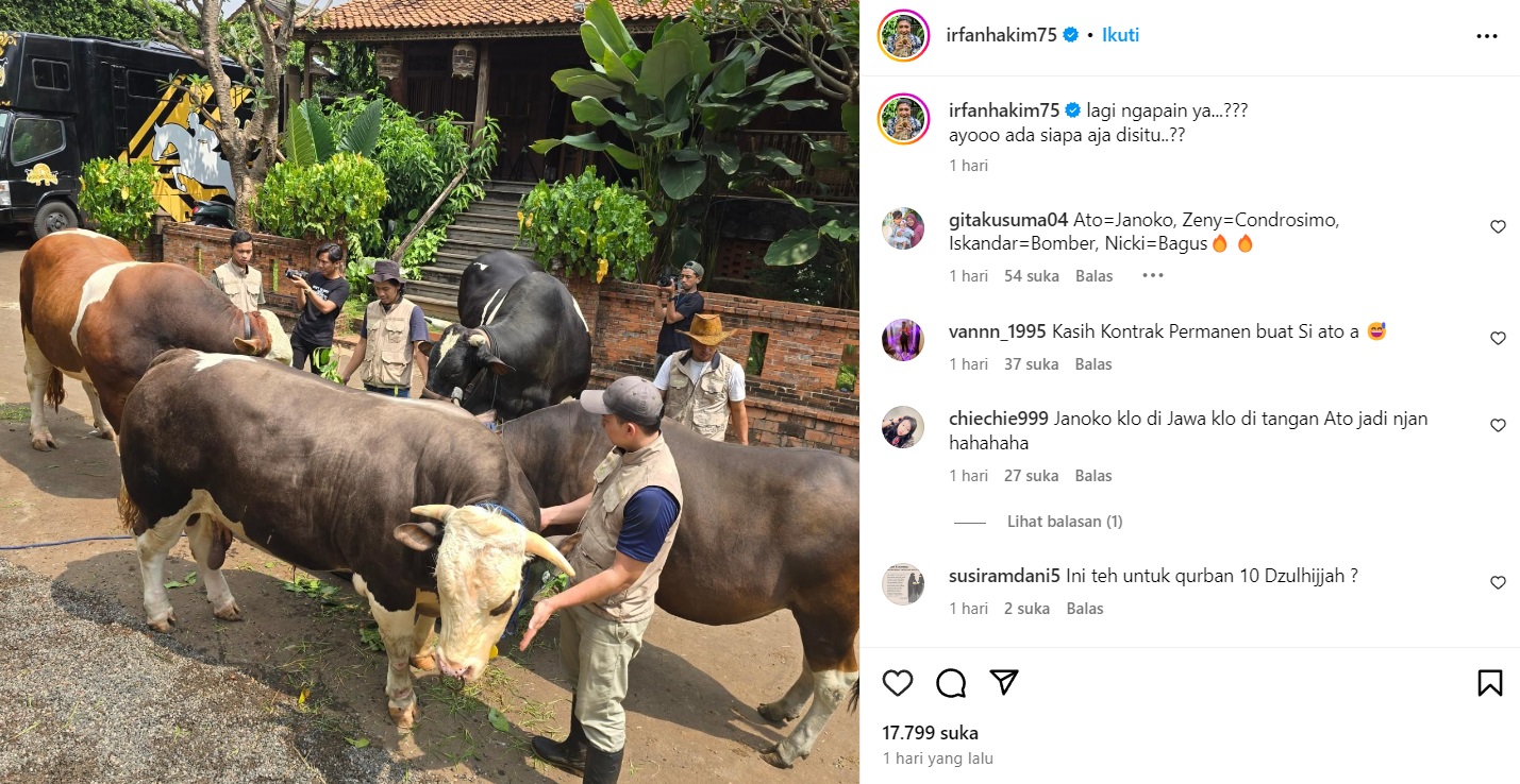 Jelang Iduladha, Irfan Hakim Siapkan 4 Sapi Jumbo untuk Kurban